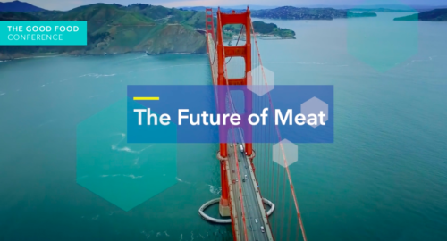 The Good Food Conference - PlantBased Solutions